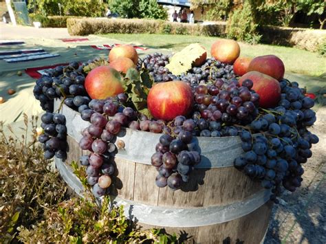 Пријем председника Општина Топола