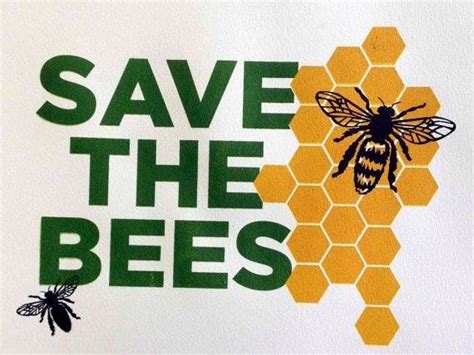 How Can I Help Bees 5 Simple Ways To Save Our Winged Pollinators