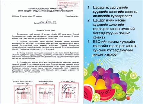 Цэцэрлэгийн насны Хүүхдийн хоол шим тэжээлийн боловсрол