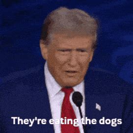 Donald Trump Theyre Eating The Dogs  Donald Trump Theyre Eating