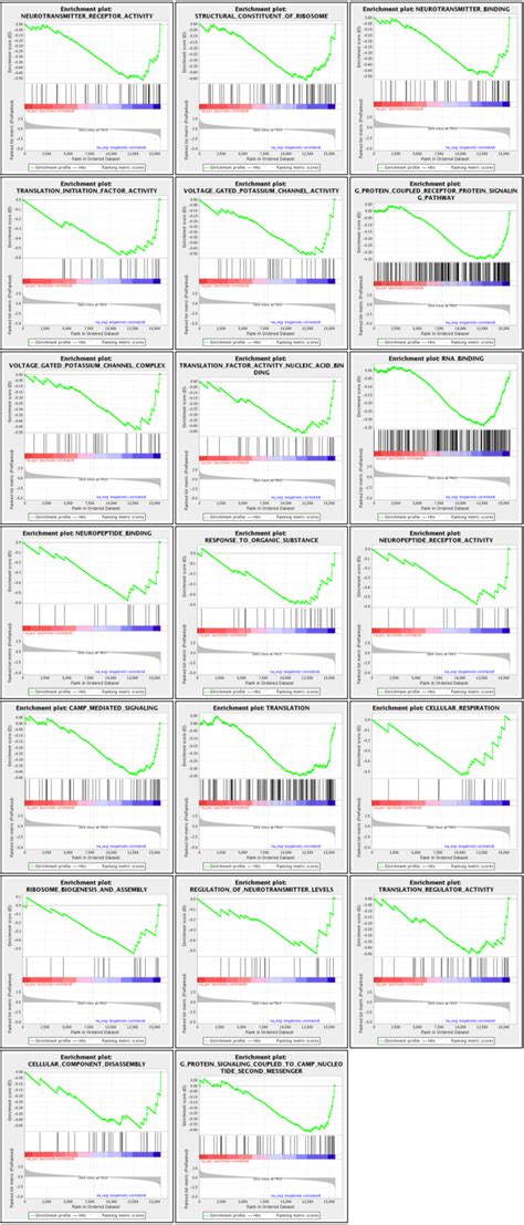 Figure 6 From RNA Seq Data Analysis Of A Rodent Model Of Adolescent