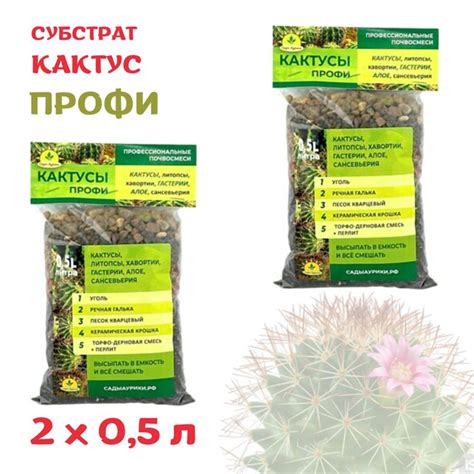 Субстрат для кактусов Сады Аурики, "Кактус Профи", 0,5 л, 2 шт - купить ...