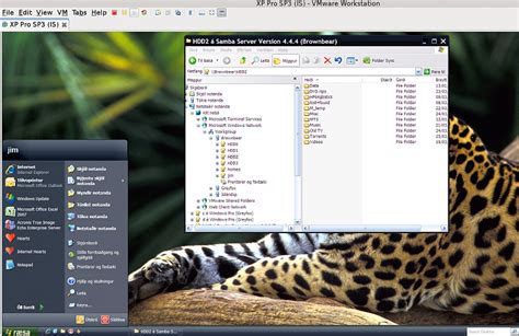 Xp Theme On Windows 10 Windows 10 Forums