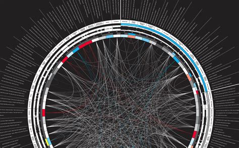 infographic tools inforgraphic marketing resources digital marketing