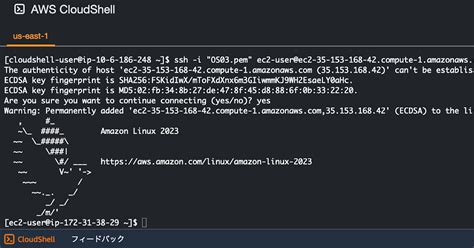 Social Optimization Systems Laboratory EC2でwebサーバを立ち上げる
