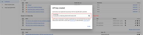 Google Map Api