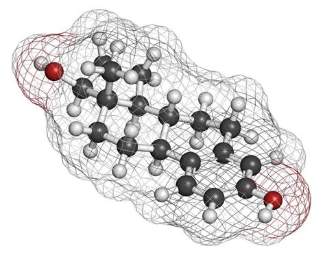 Estradiol Estrogen Female Sex Hormone Molecule Atoms Are Represented As Spheres With
