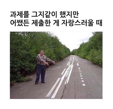 베스트 비디오 과제 폭탄 맞은 대학생들 상황 