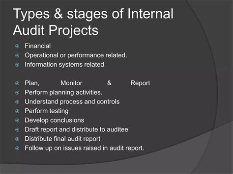 Audit Plan And Controls Ppt