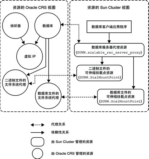 使用 Oracle Solaris Cluster 维护命令创建与 Oracle 10g 或 11g 进行交互操作的资源 用于