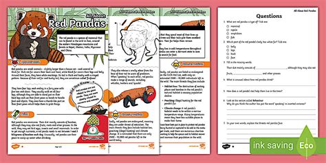 Uks2 All About Red Pandas Differentiated Reading Comprehension Activity