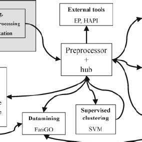 The Pipeline Of Microarray Data Analysis After The Operations Of Image Download Scientific