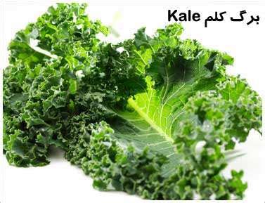 تصاویری از انواع کلم