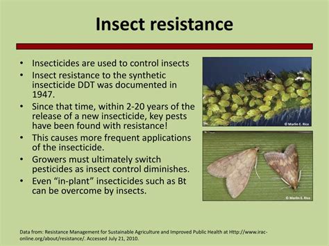 Ppt Pesticide Resistance Powerpoint Presentation Free Download Id