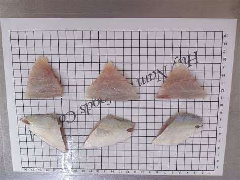 Fillet Bigeye Scad