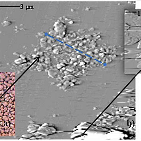 Images Showing Particle Scattering A Optical Image Of The Dried Images Showing Particle Scattering A Optical Image Of The Dried