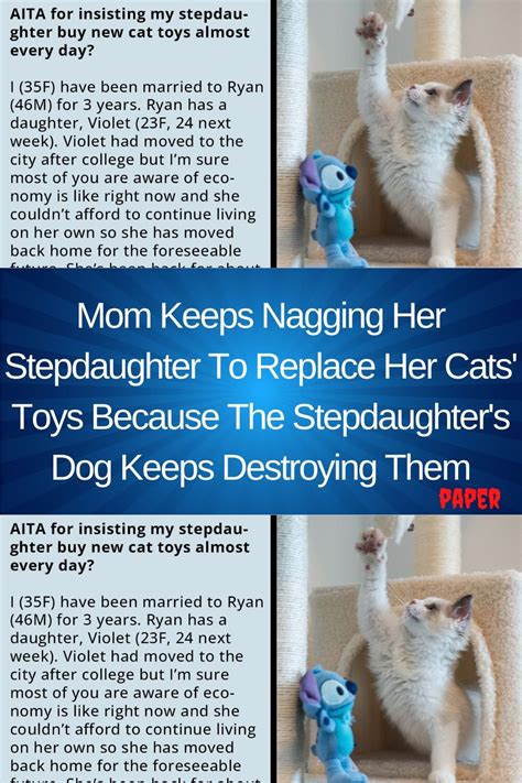 Mom Keeps Nagging Her Stepdaughter To Replace Her Cats Toys Because The