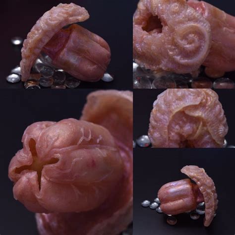 One Piece Sex Toy Etsy