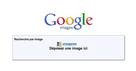 Comment Trouver Le Nom Dun Insecte Avec Une Photo MamanSanta