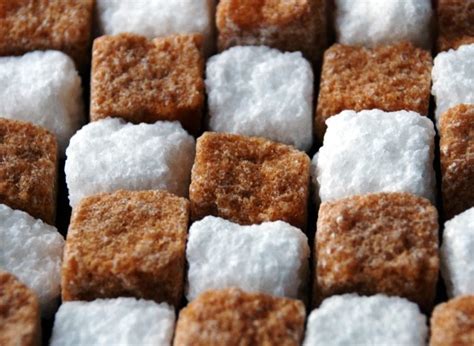 Tout Savoir Sur Le Sucre Runner S World