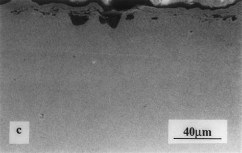 The Scanning Electron Micrographs Showing The Transverse Section Of