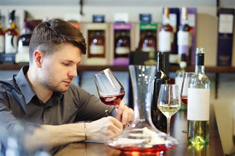 남성 소믈리에 시음 레드와 화이트 와인 바 카운터에서 노트 만들기 남자에 대한 스톡 사진 및 기타 이미지 남자 남자들만 러시아 Istock