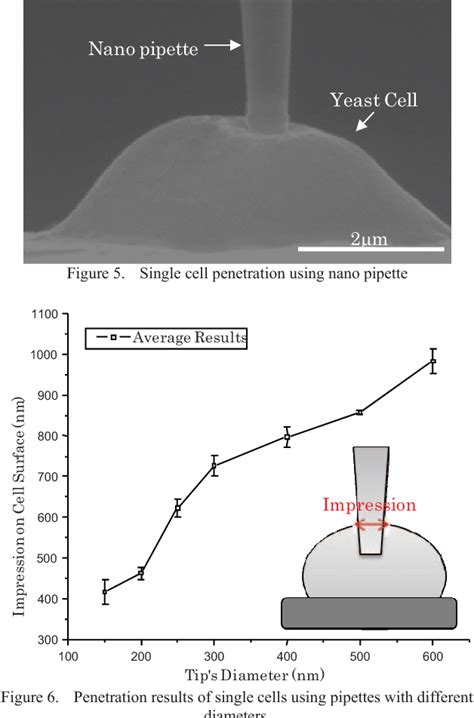 Figure 1 From Single Cell Injection Using Nano Pipette Via Nanorobotic