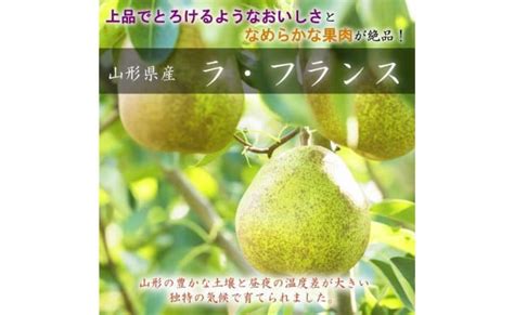 【令和6年6月発送開始】山形県中山町の至高！山形県中山町厳選フルーツ定期便 全7回 山形県中山町 セゾンのふるさと納税