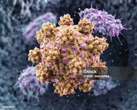 3d 렌더링 미생물 배경 바이러스 병원 체 감염 건강 관리 흰색 절연 요소 3차원 형태에 대한 스톡 사진 및 기타 이미지 3차원 형태 감기와 독감 건강관리와 의술