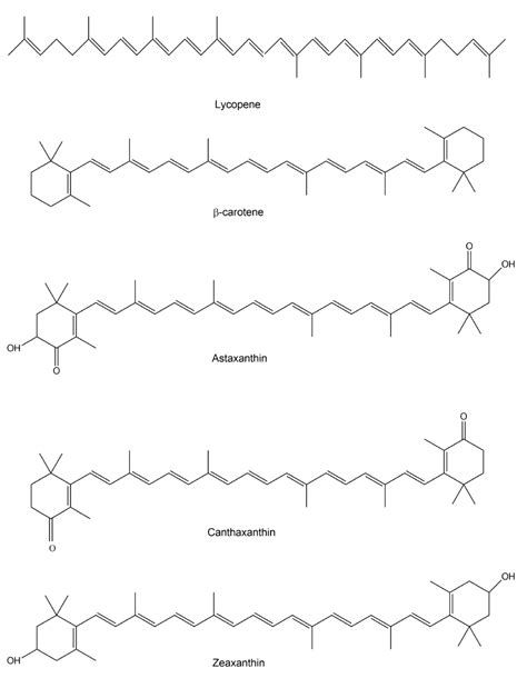 Jof Free Full Text Fungal Pigments And Their Roles Associated With