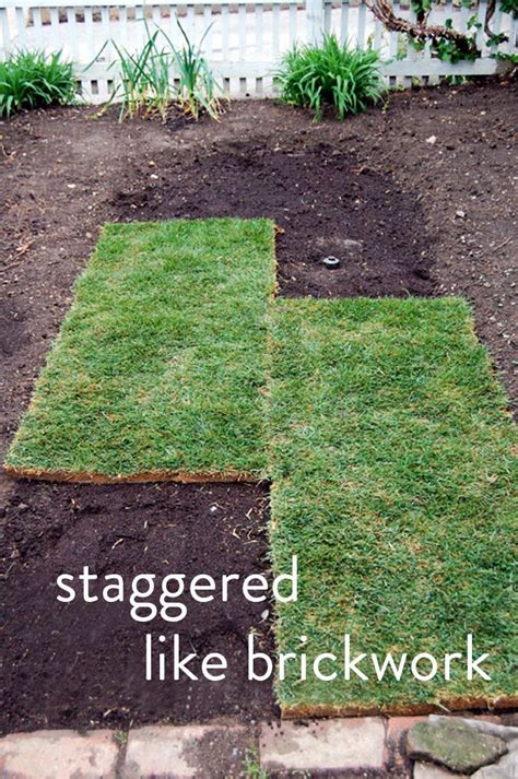 How To Lay Sod For A Beautiful Lawn How To Lay Sod Lawn Care Shade Landscaping