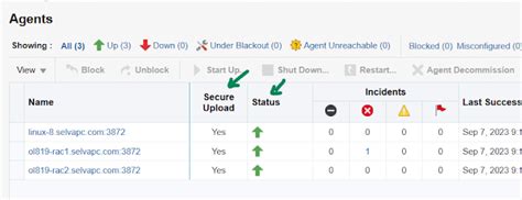 Oracle Tips And Techs Oracle Enterprise Manager To Post Upgrade