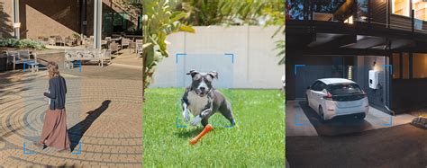 Overview Of Ai Detection Capabilities Of Home Security Cameras Tapo
