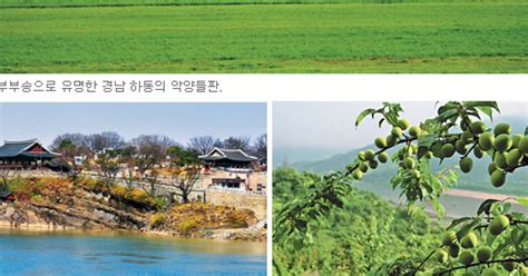 빼어난 풍광·넉넉한 정·맛깔난 음식 남도 추억만들기 여수세계박람회 인근 가볼만한 곳