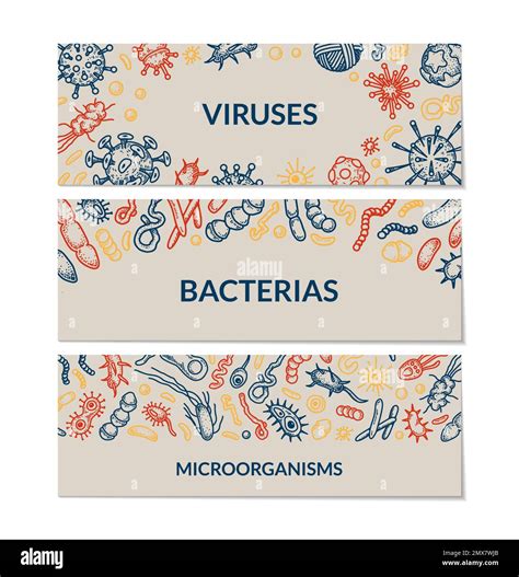 set of microbiology banners collection of different types of