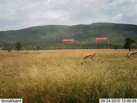 Performance Better On Smaller Image Sizes Compared To Training Size