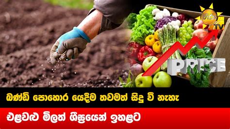 බණ්ඩි පොහොර යෙදීම තවමත් සිදු වී නැහැ‍ එළවළු මිලත් ශීඝ්‍රයෙන් ඉහළට