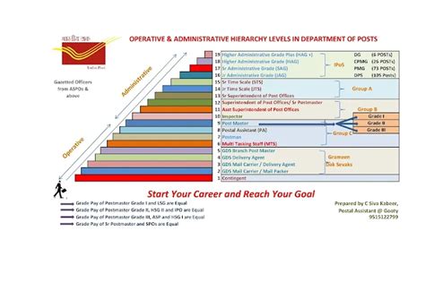 operative and administrative hierarchy levels in dop