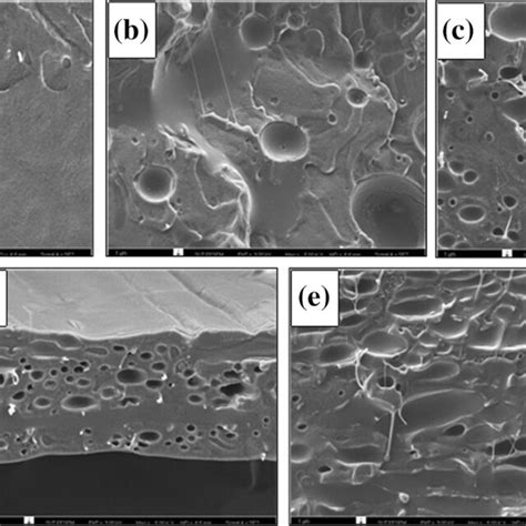 Fe Sem Micrographs At 5000 × Magnification Of The Surface Of