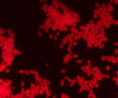 Gallery Metalloprotein Lab ZJU
