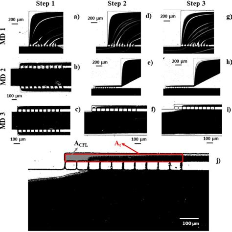Overall View Of The Proposed Multi Step Microfluidic Device For Cell Download Scientific