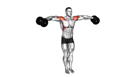 Dumbbell Bent Arm Lateral Raise Male Video Guide Tips