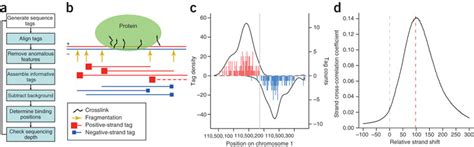 Protein Binding Detection From ChIP Seq Data A Main Steps Of The Download Scientific Diagram