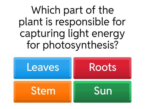 Summative Assessment Quiz
