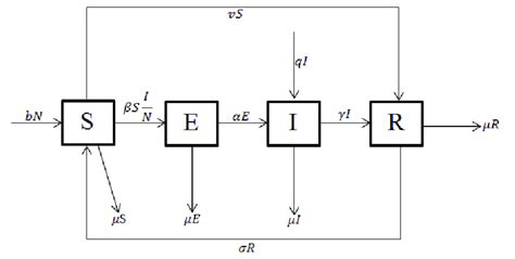 Transfer Diagram Of Seirs Model With Vaccination And Treatment Factor