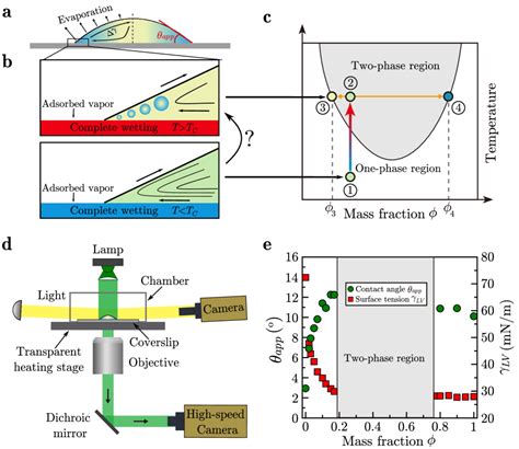 220209141 How Liquid Liquid Phase Separation Induces Active Spreading