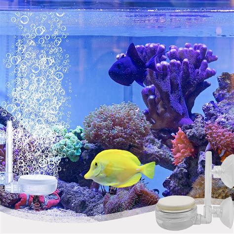 Hhgbad Round Gas Stones Disc Diffuser For Aquarium And Hydroponics