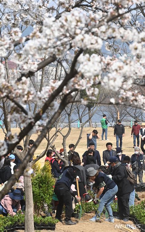 Chosun Online