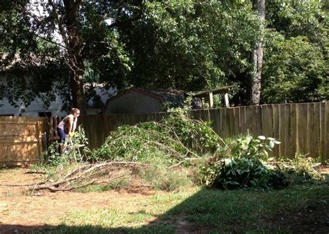 How To Trim And Prune Trees Diy Basics And Safety Tips