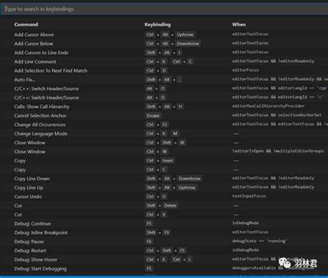 Vs Code一些常见配置操作（快捷键设置、cc的debug、代码路径配置）vscode C Debug Watch 怎么看map